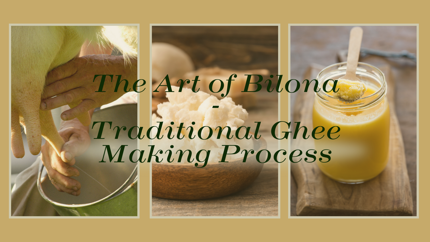 The Art of Bilona - Traditional Ghee Making Process – SANDDUNES DAIRY ...